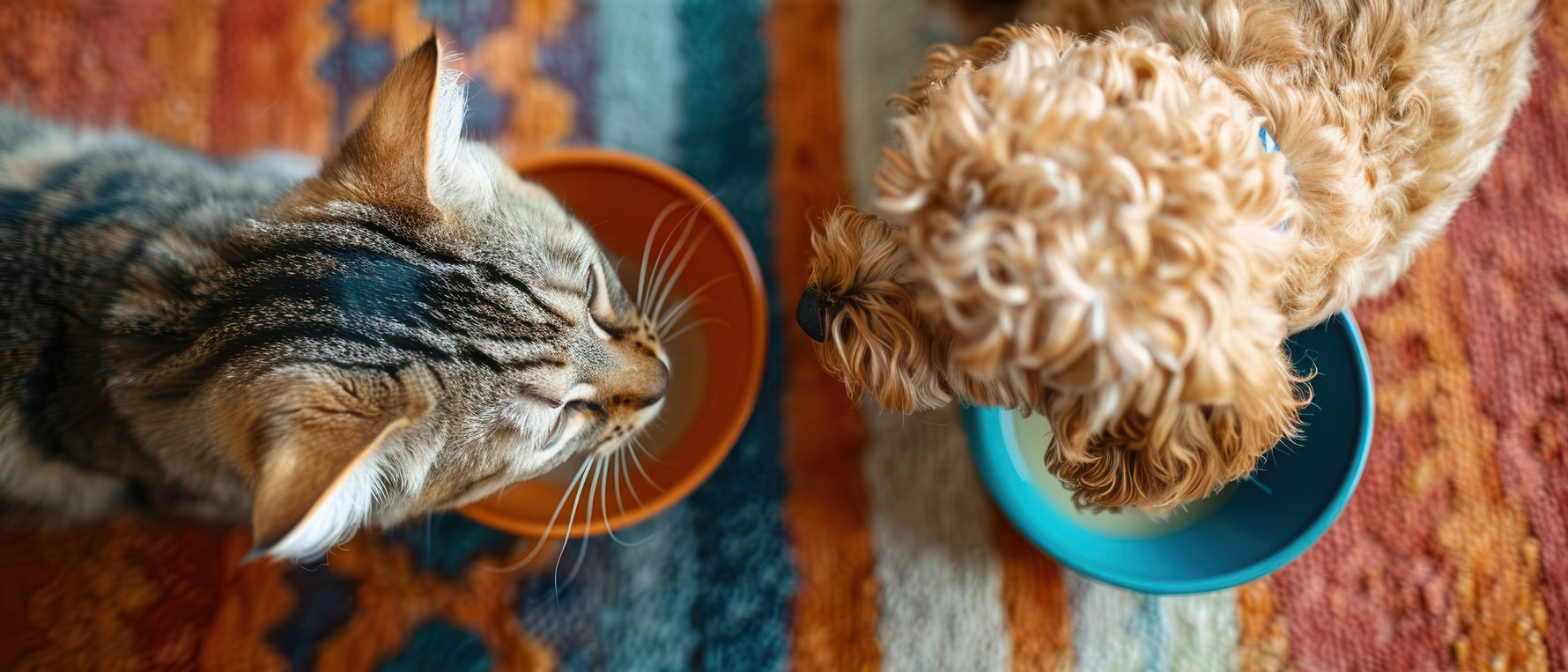 Resolution Pet Brands